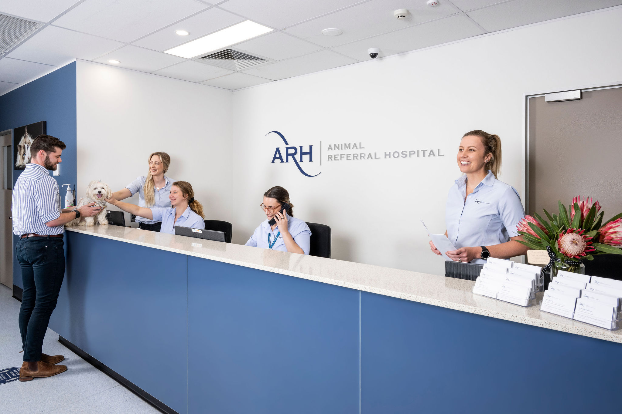 Emergency & Specialist Vet in Brisbane | Animal Referral Hospital