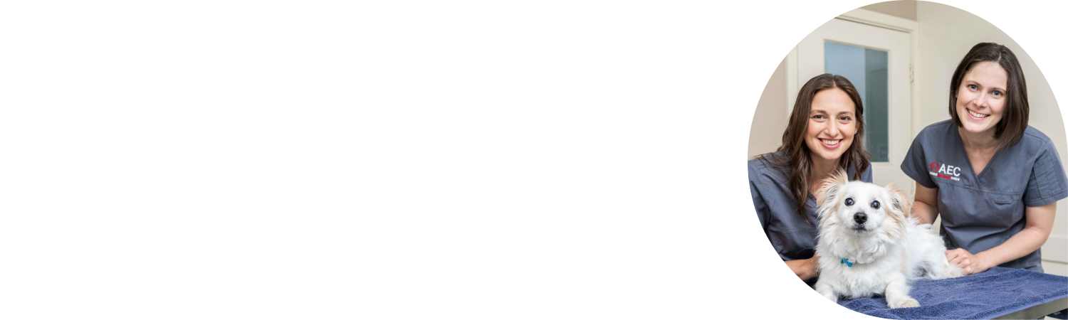 Animal Emergency Centre Frankston | Critical Pet Treatment