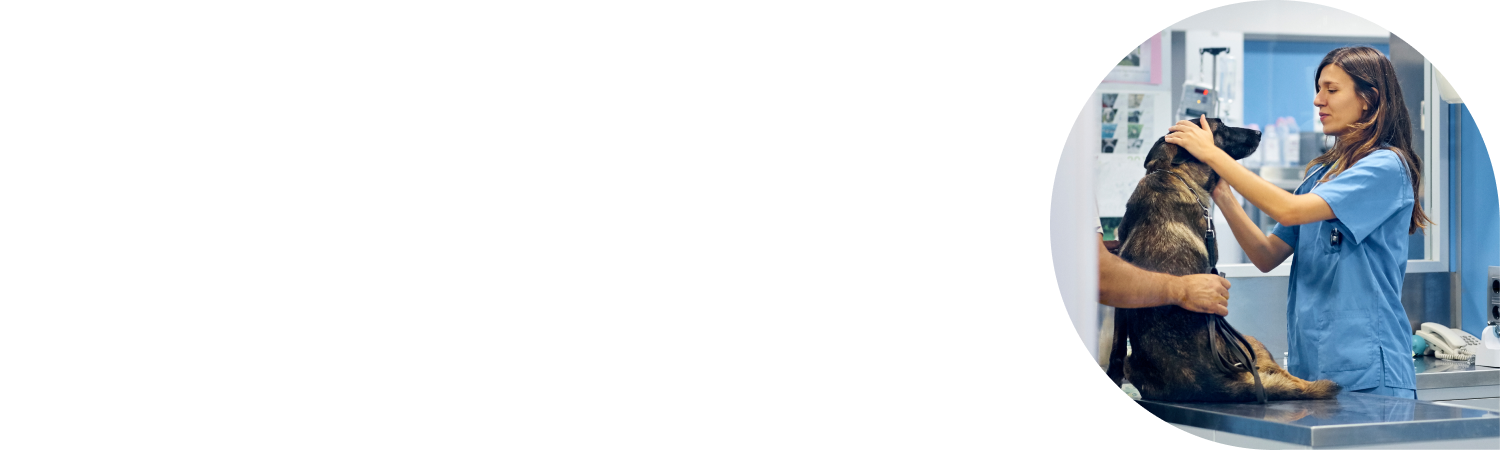 Animal Referral Hospital Canberra | Specialist Pet Services