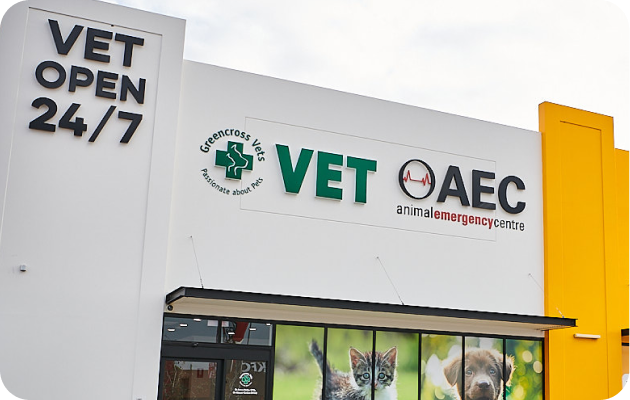 Emergency Vet in Midland | Animal Emergency Centre
