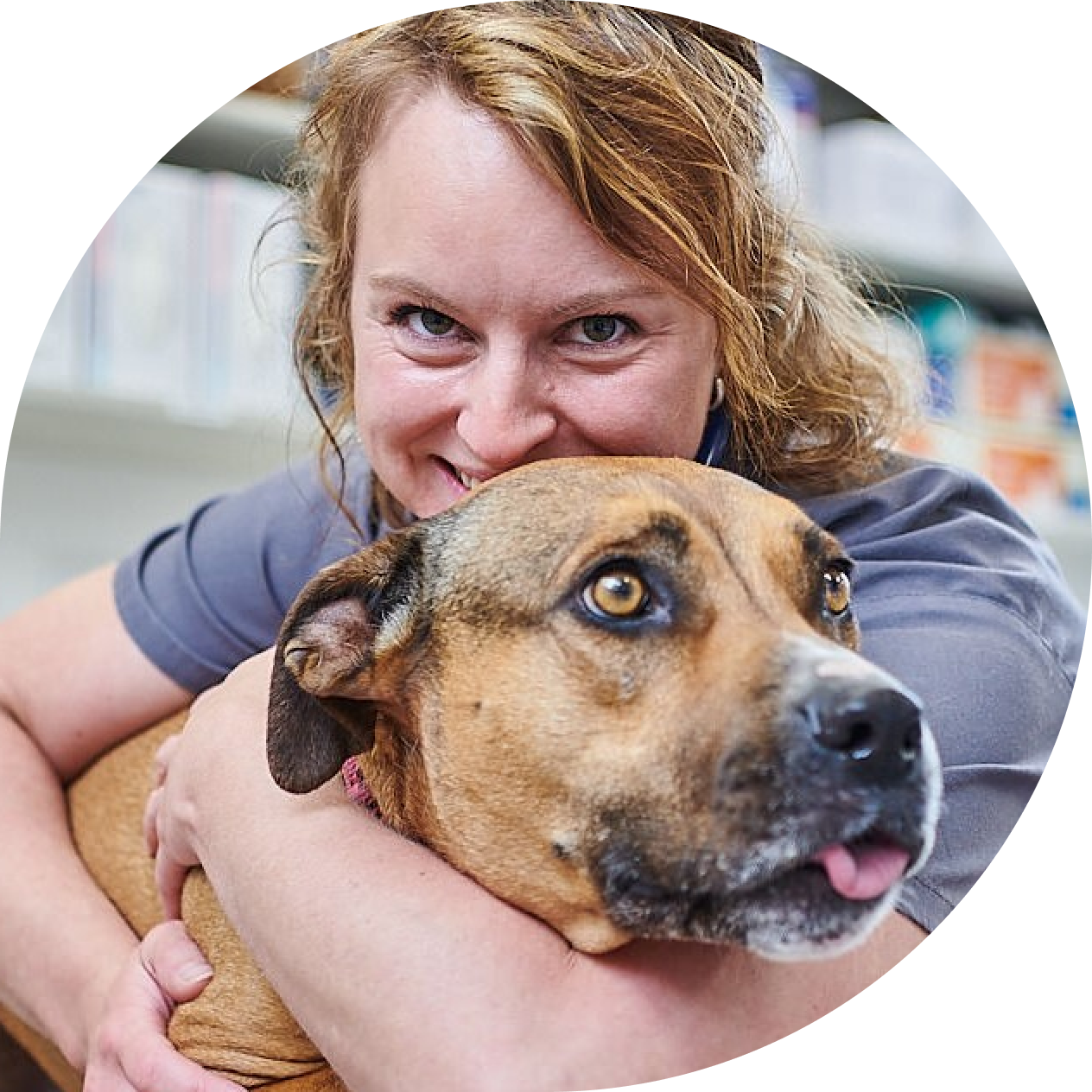 Emergency Vet in Midland | Animal Emergency Centre