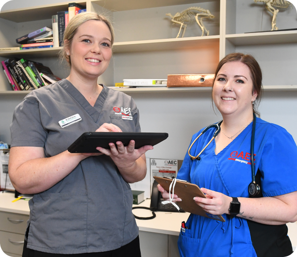 Emergency Vet in Moorabbin | Animal Emergency Centre