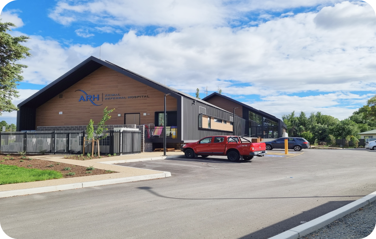 Emergency Vet Canberra | Specialty Services | Animal Referral Hospital