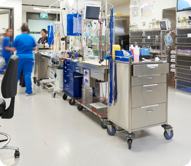 Emergency Vet - University of Melbourne | Greencross Vet Hospital