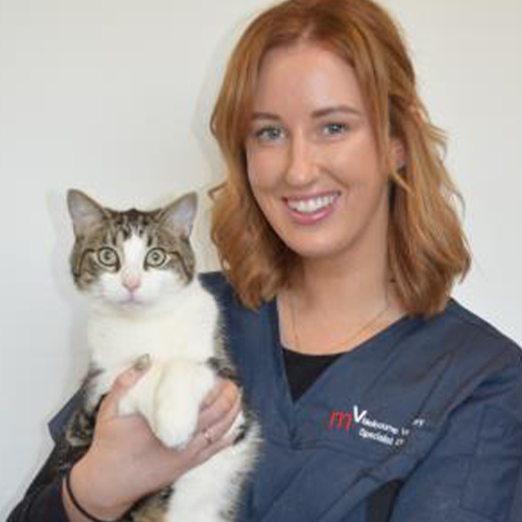 Melbourne Veterinary Specialist Centre | Expert Pet Care