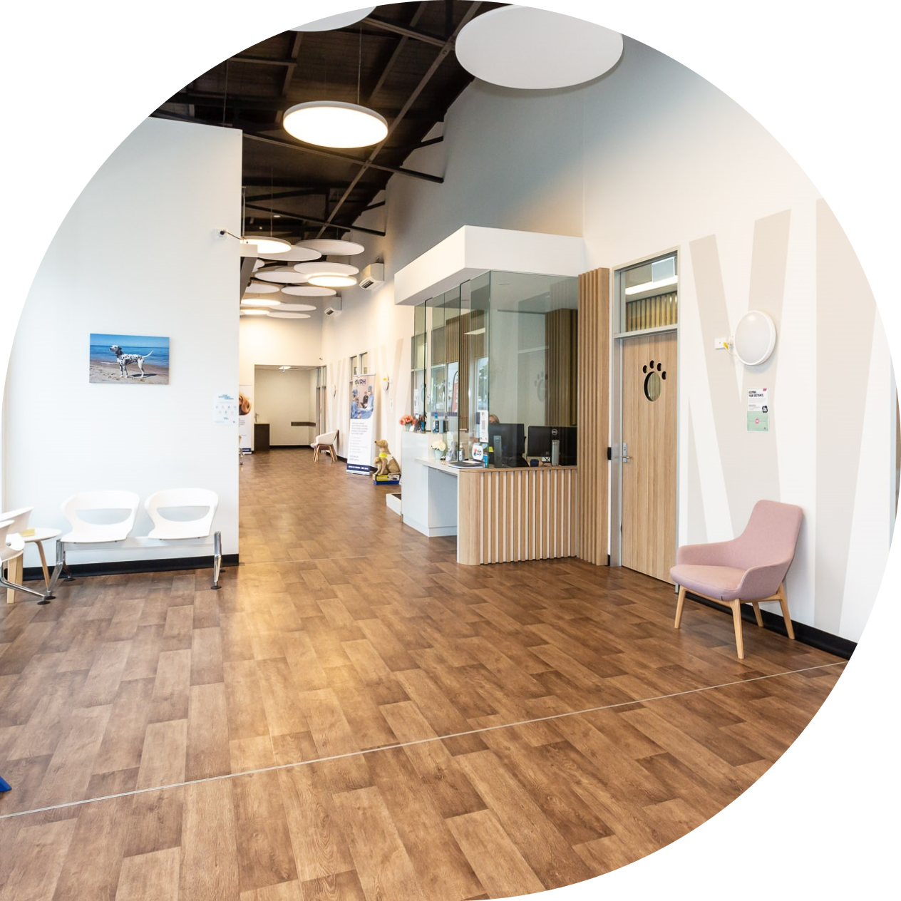 Emergency Vet in Dandenong | Veterinary Referral Hospital