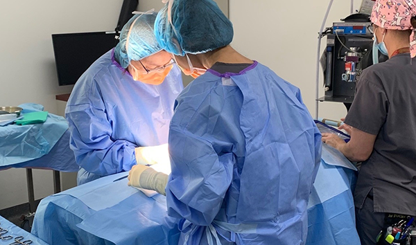 Emergency Vet - University of Melbourne | Greencross Vet Hospital
